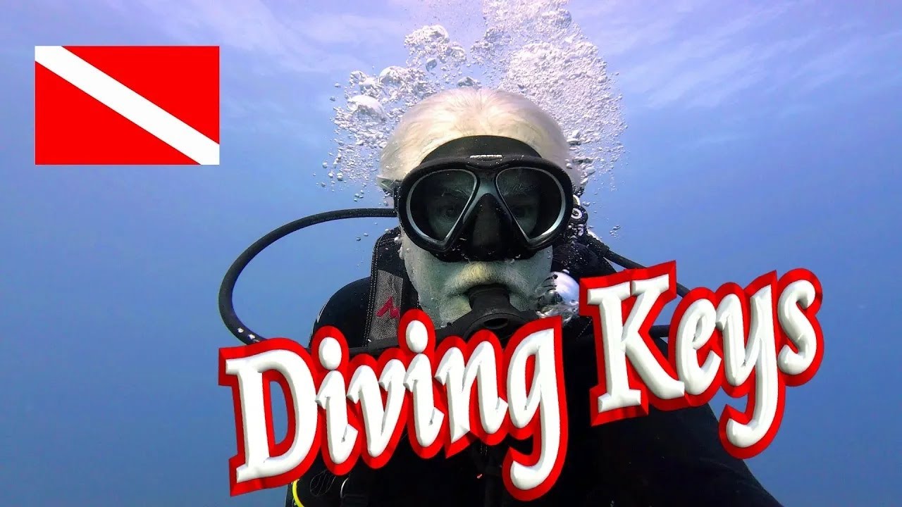 🤿 Diving off Key Largo 🐠 - YouTube