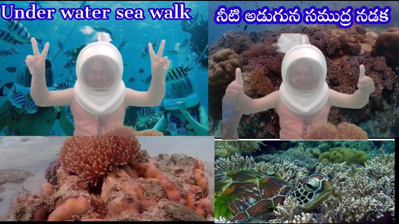 # under water sea walk coral island # coral island Pattaya tour #koh ...