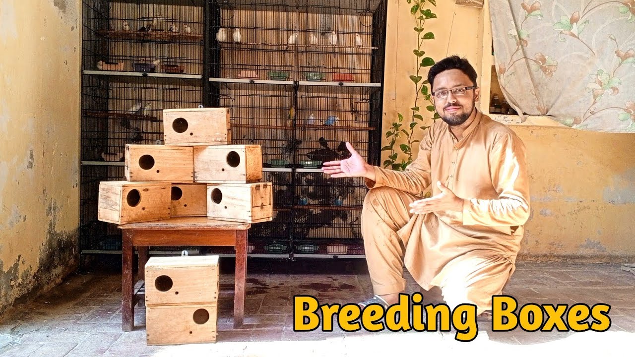 Breeding Boxes lga diy | Breeding Start - YouTube