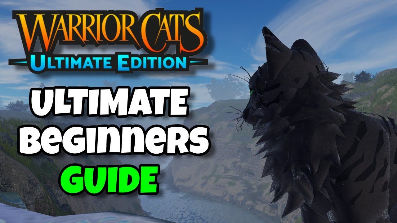 Warrior Cats: Ultimate Edition | ULTIMATE BEGINNERS GUIDE - YouTube