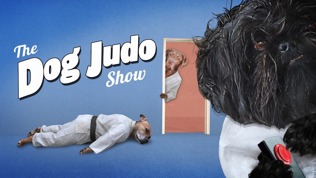The All New Dog Judo Show. Episode One - YouTube