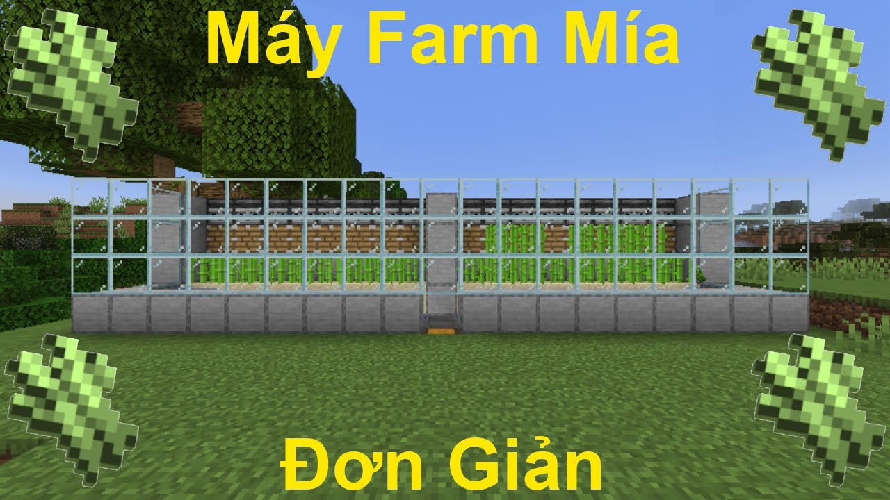 Minecraft: Cách Làm Máy Farm Mía Cực Đơn Giản - YouTube