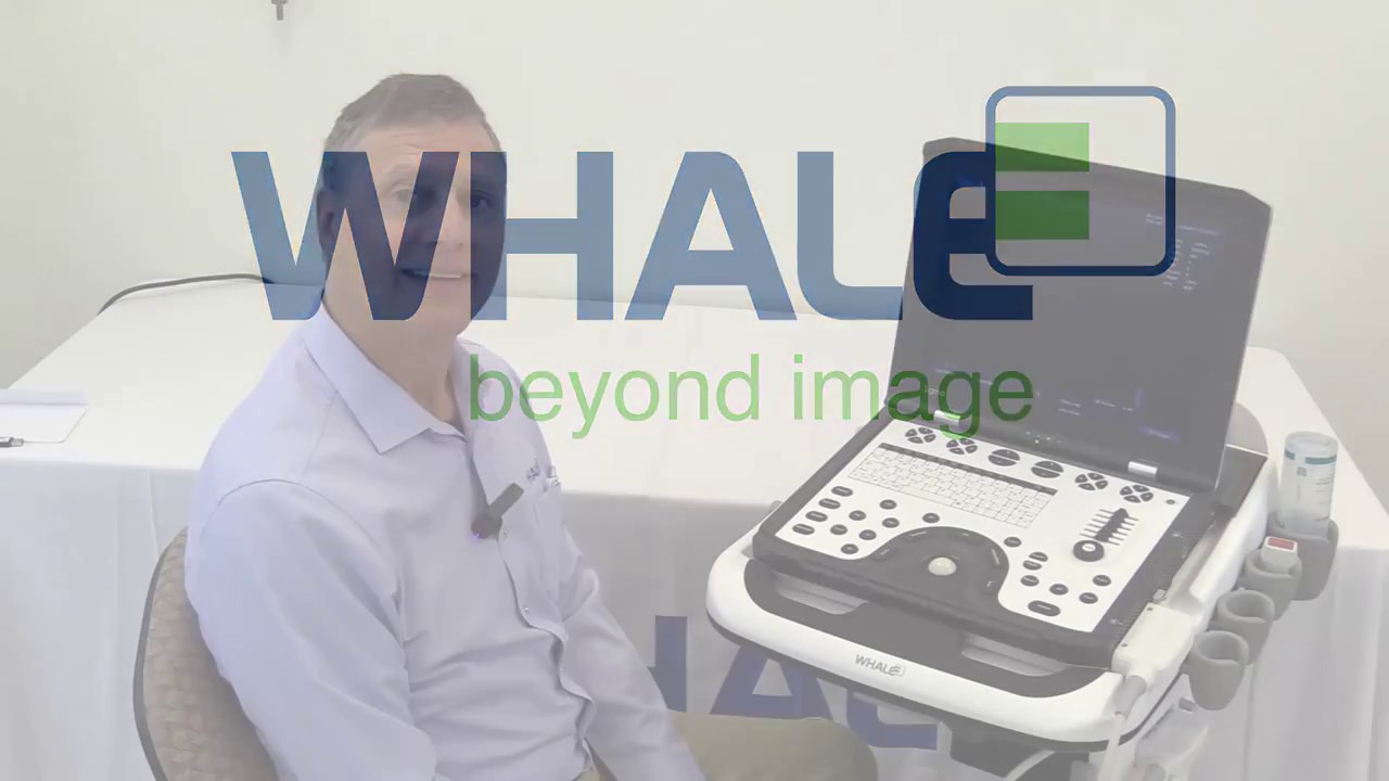 How to install a Wi-Fi adapter on a Whale Ultrasound - YouTube