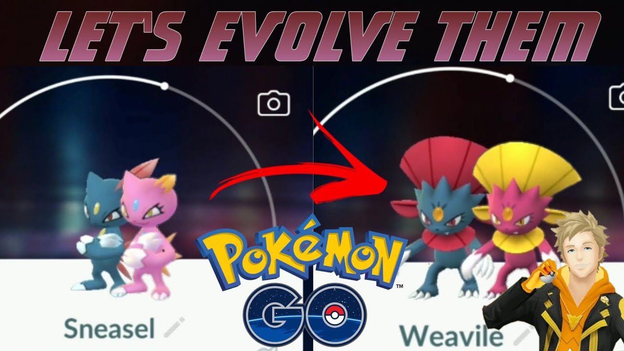 Evolution Of SNEASEL Into WEAVILE, Also Here Is Shiny One - Field ...