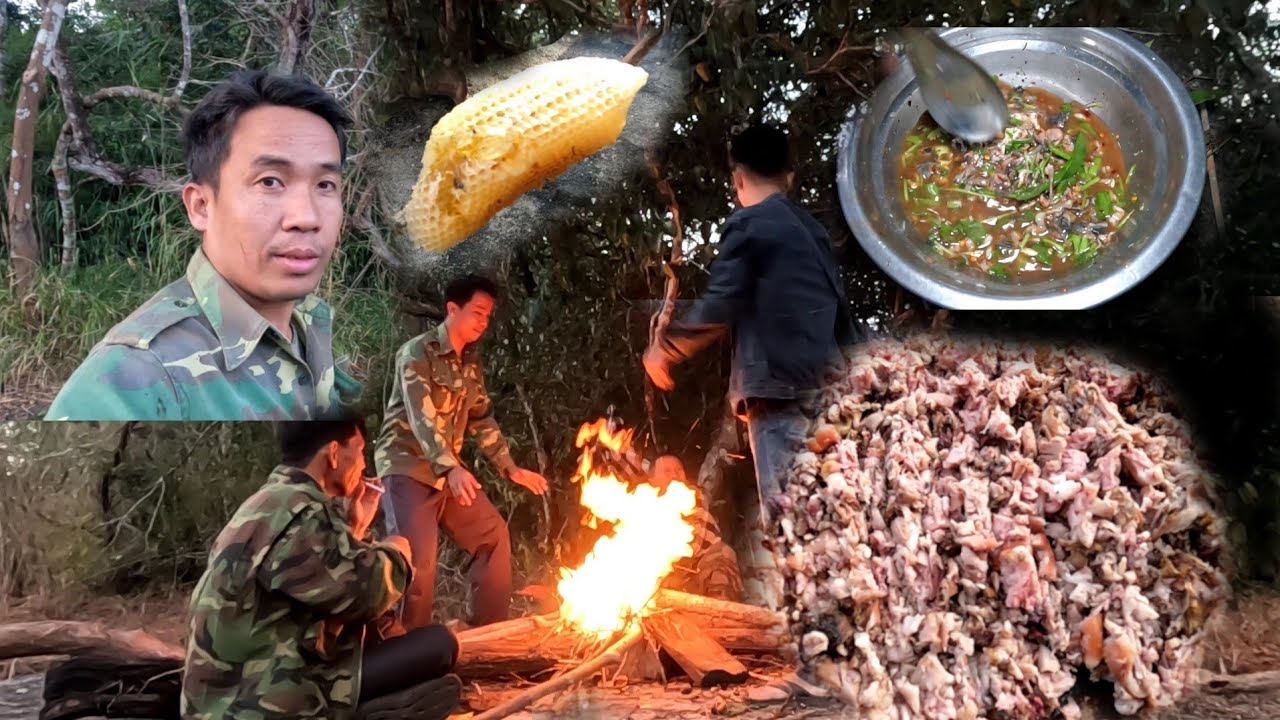 ເຂົ້ານອນປ່າດົງສີທວນເມືອງທ່າປາງທອງ//เข้านอนป่า1คืนเเต่หนาวมาก - YouTube