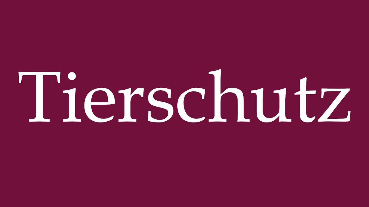 How to Pronounce ''Tierschutz'' (Animal protection) Correctly in German ...