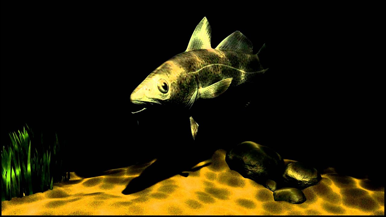 Cod Fish Blender Animation - YouTube