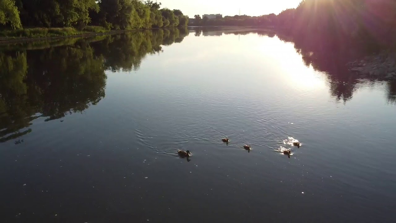 Nature on Mures River - Arad Romania - YouTube
