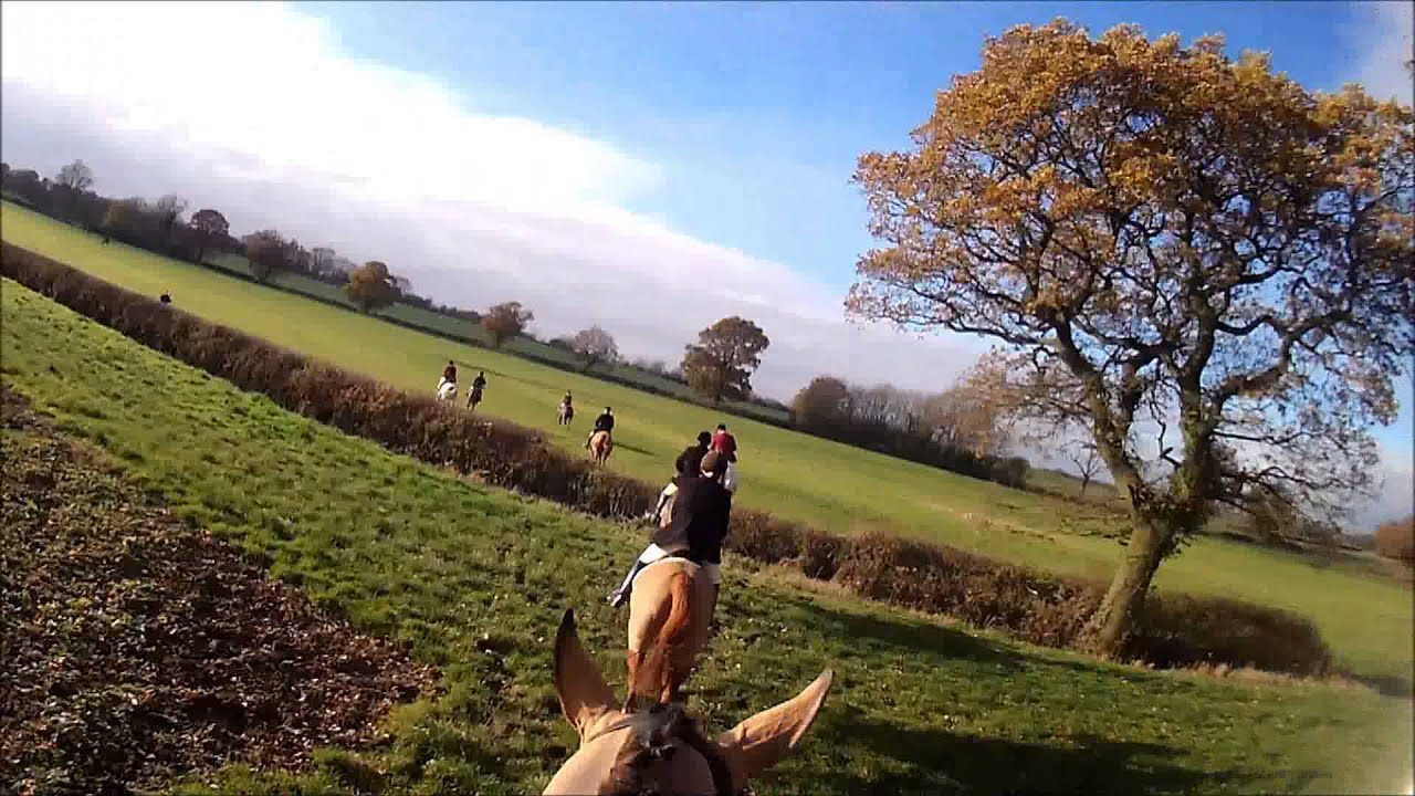 Farmers Bloodhounds 01.12.13 Hedge Hopping Part 1 - YouTube