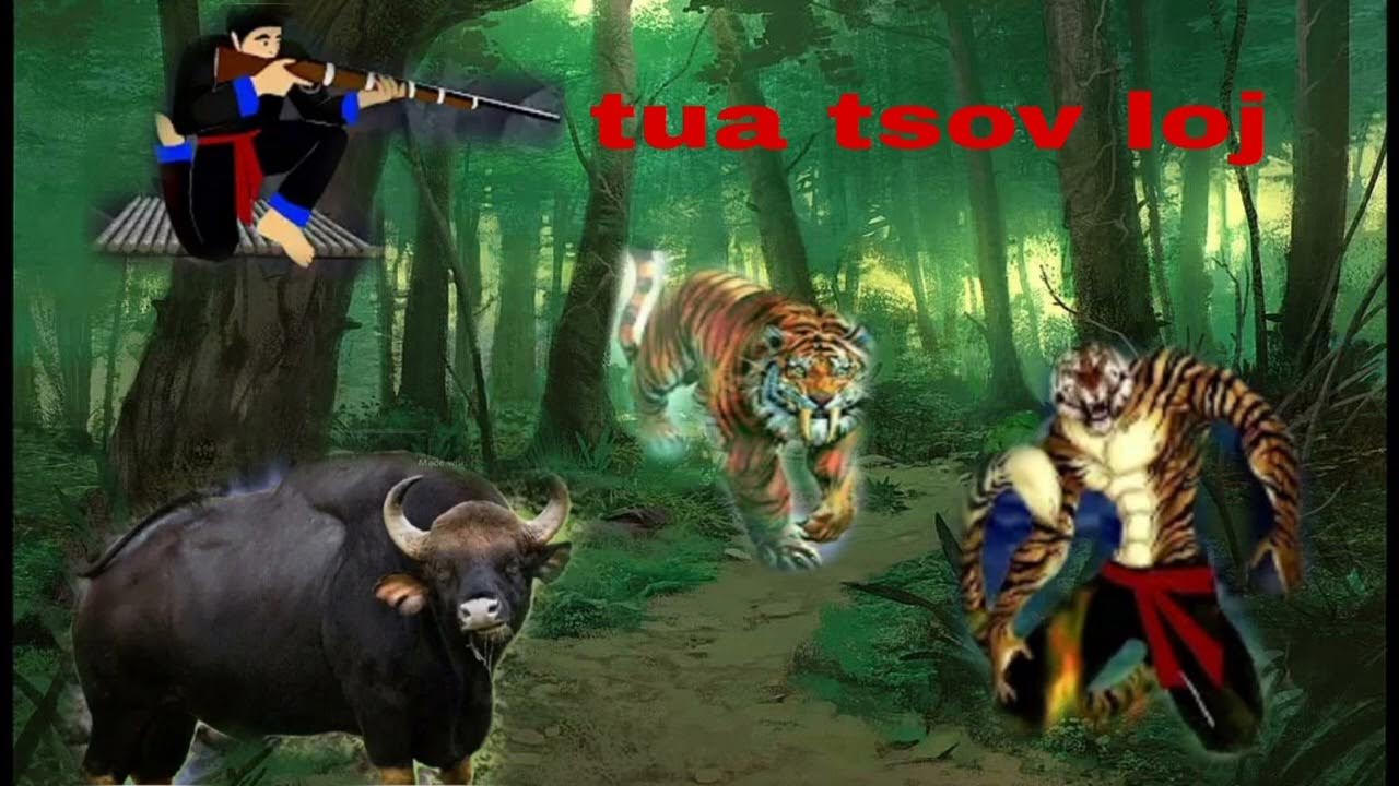 dab neeg 2 niam txiv paj xyooj raug tsov tom txaus ntshai heev - YouTube