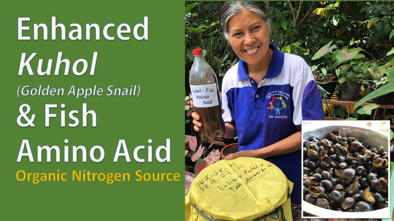 ENHANCED KUHOL & FISH AMINO ACID - Organic Nitrogen Source - YouTube