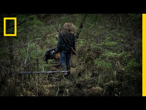 Devil's Club Harvest | Port Protection - YouTube