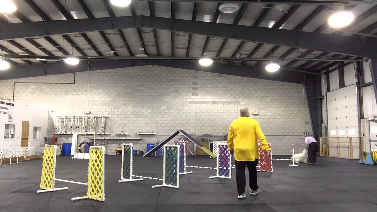 Dolly - Grid Work - YouTube