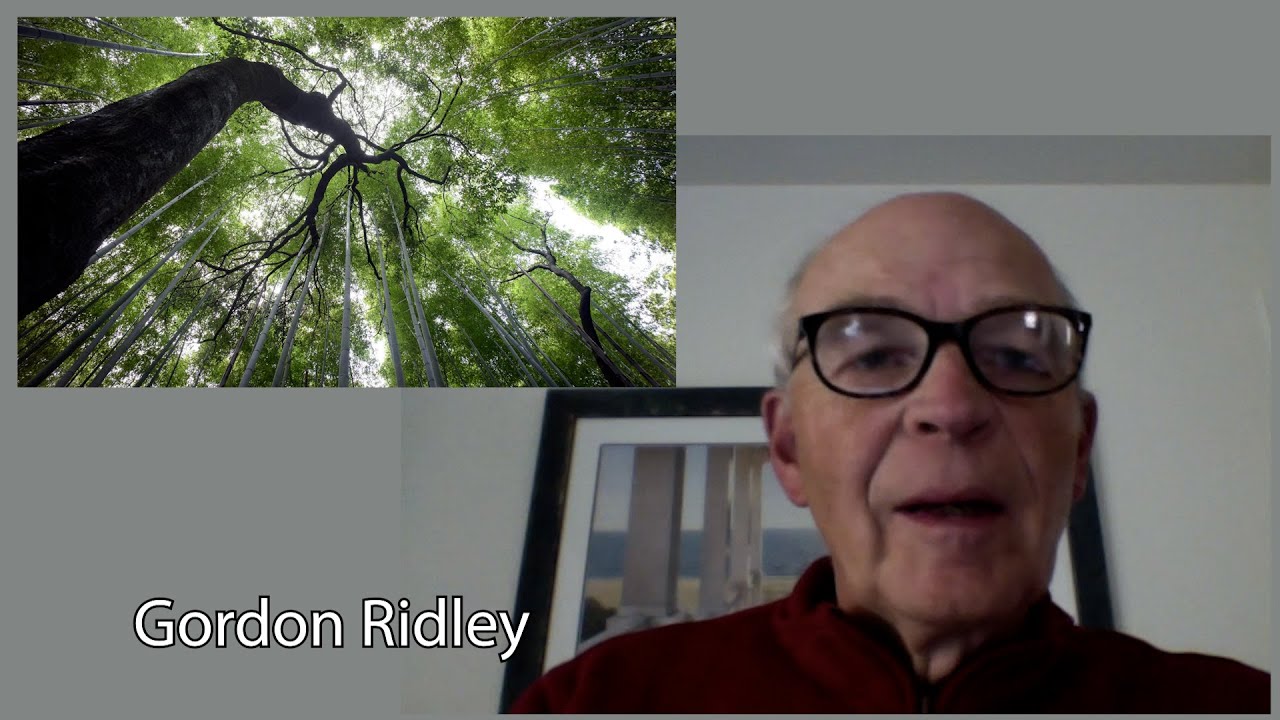 Gordon Ridley reads Numbers 5: 5-10 - YouTube