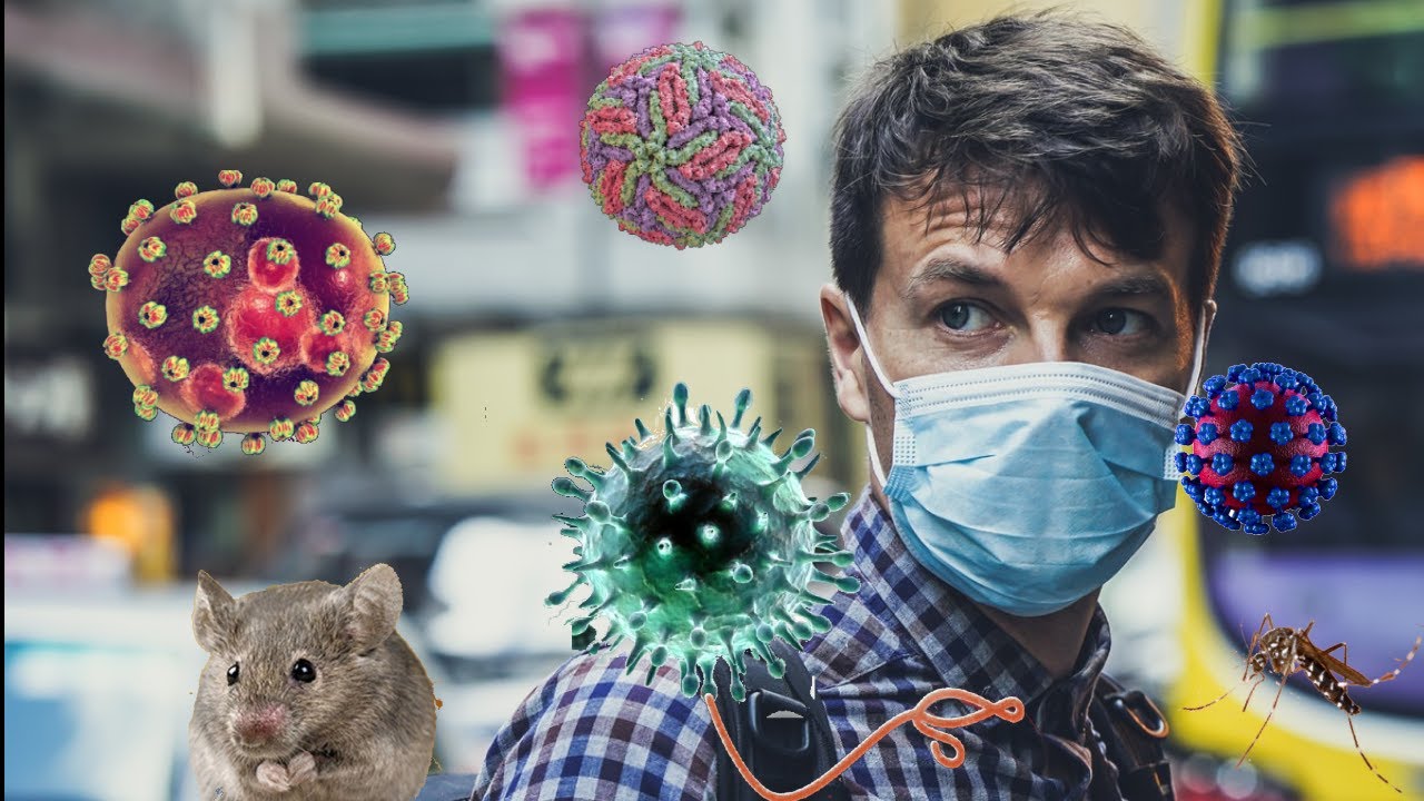 🦠El Coronavirus🦠 y 👾los 10 virus más letales🦟 para los seres humanos👨‍👩 ...