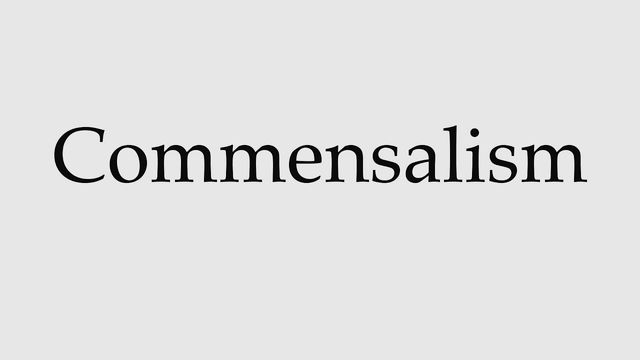 How to Pronounce Commensalism - YouTube