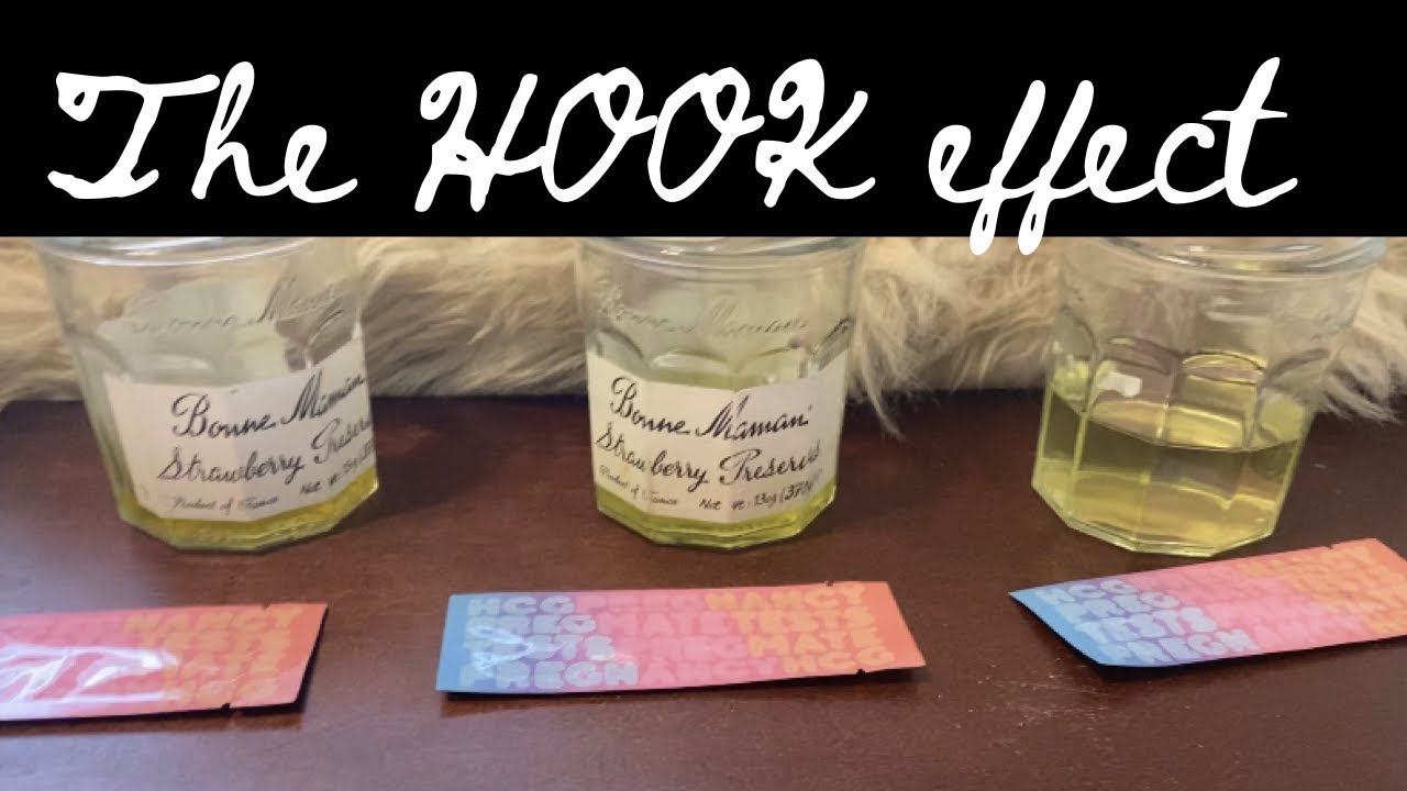 LIVE PREGNANCY TEST EXPERIMENT || THE HOOK EFFECT || NEGATIVE PREGNANCY ...