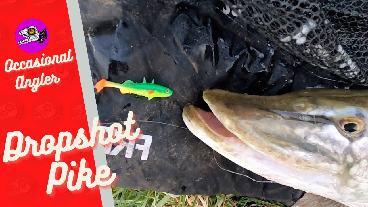 BIG PIKE DROPSHOT - YouTube