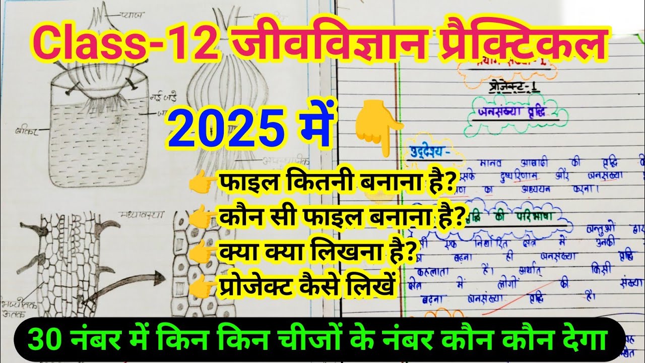 Bio practical | class 12 biology practical file 2025 up board | 12th ...