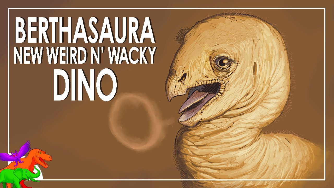 Berthasaura – When Carnivorous Dinosaurs Get Weird & Wacky - YouTube