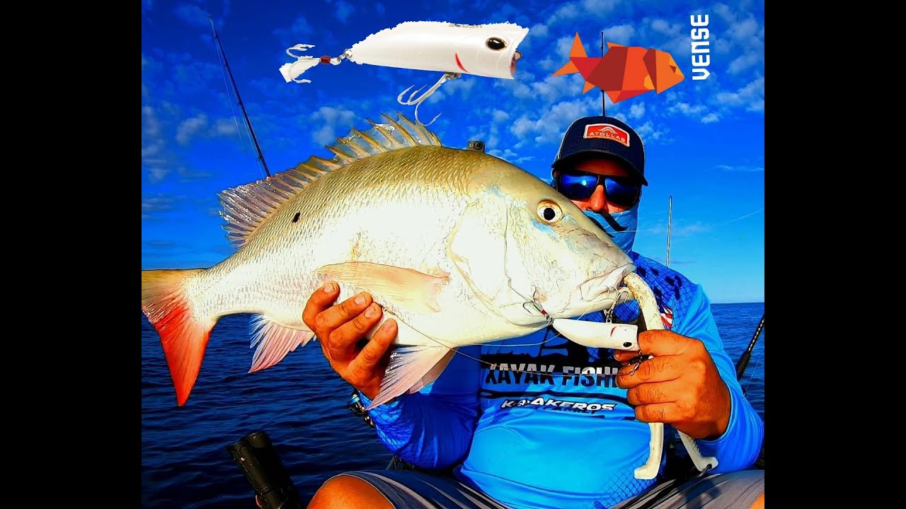 Pescando en Puerto Rico (Mi Primer Pargo con un Popper Vense ( Sama ...