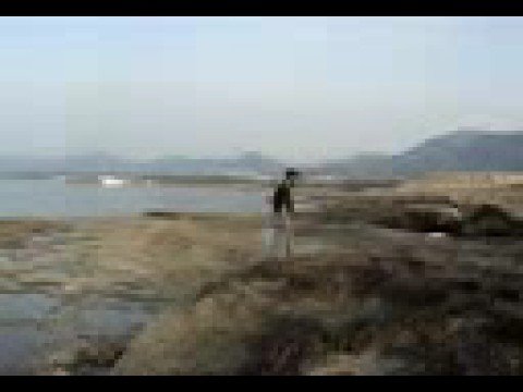 başıma belamısın