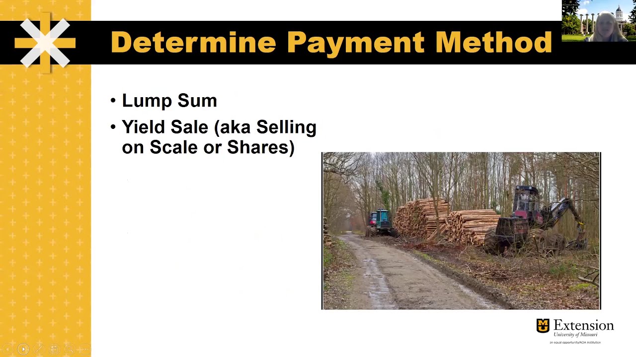 Money Can Grow on Trees: An Introduction to Timber Sales - Pearls of ...