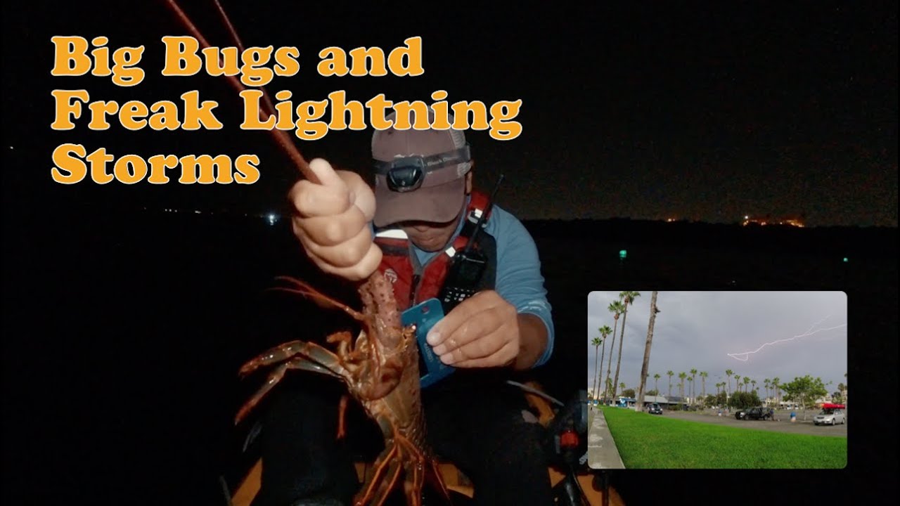 Southern California Spiny Lobster Opener 2021 | BIG BUGS and a Freak ...