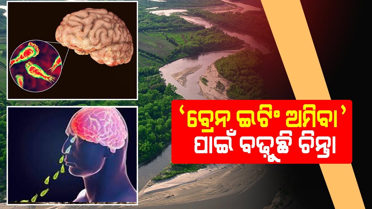 'Brain eating amoeba' which eats and destroys the brain - YouTube
