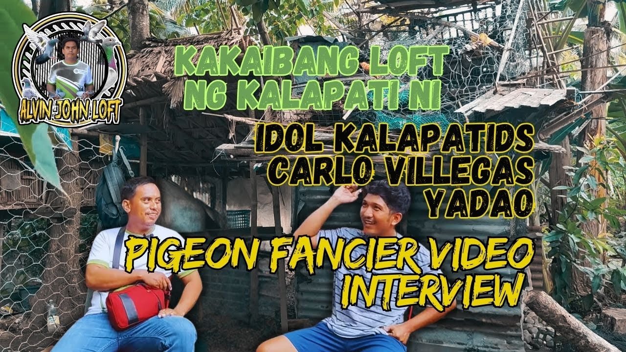 Pigeon Fancier Video Interview - Kakaibang Loft kalapati Ni idol ...