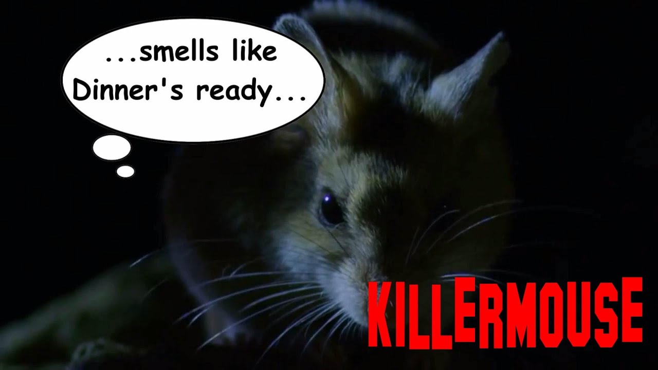The Howl of the Killermouse - YouTube