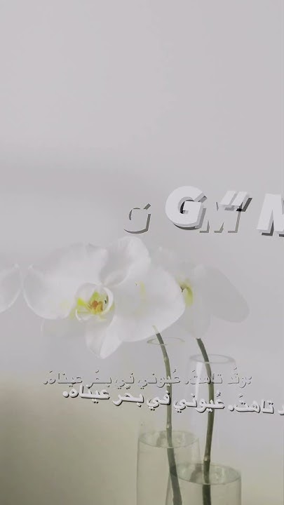 تصميم حرفين G ””m العراق انمي بنترست مشاهير رسم أفلام مصر السعودية أيرين ونبيس Youtube