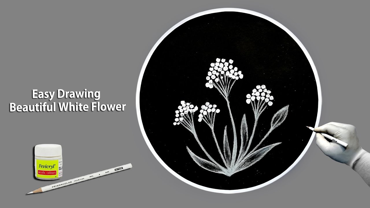 Beautiful White Flower Drawing Step by Step - YouTube