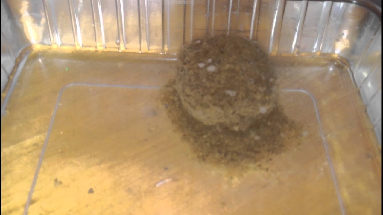 nash ball maker 40mm - YouTube