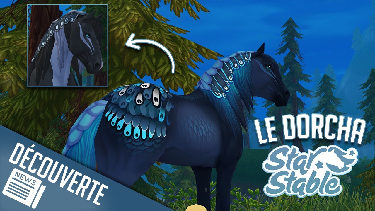 Achat d'un Irish Cob magique *Dorcha* | Star Stable - SSO - YouTube