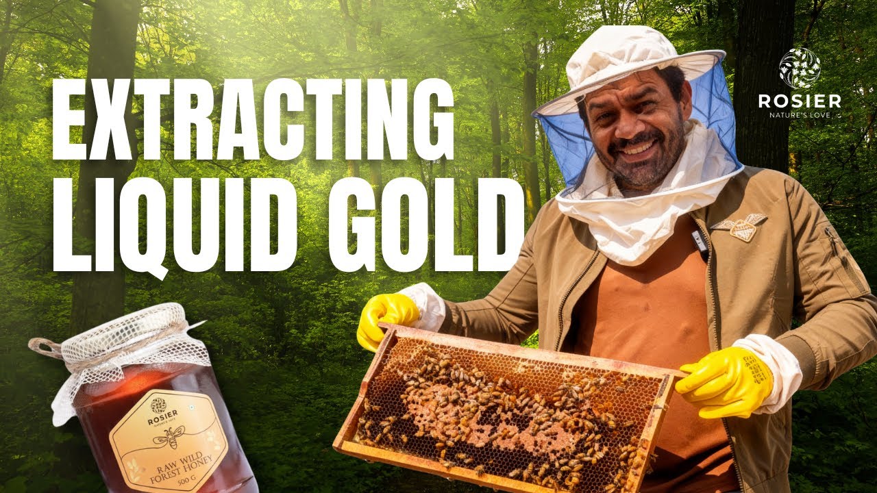 100% Pure Liquid Gold Extraction 🍯 - YouTube