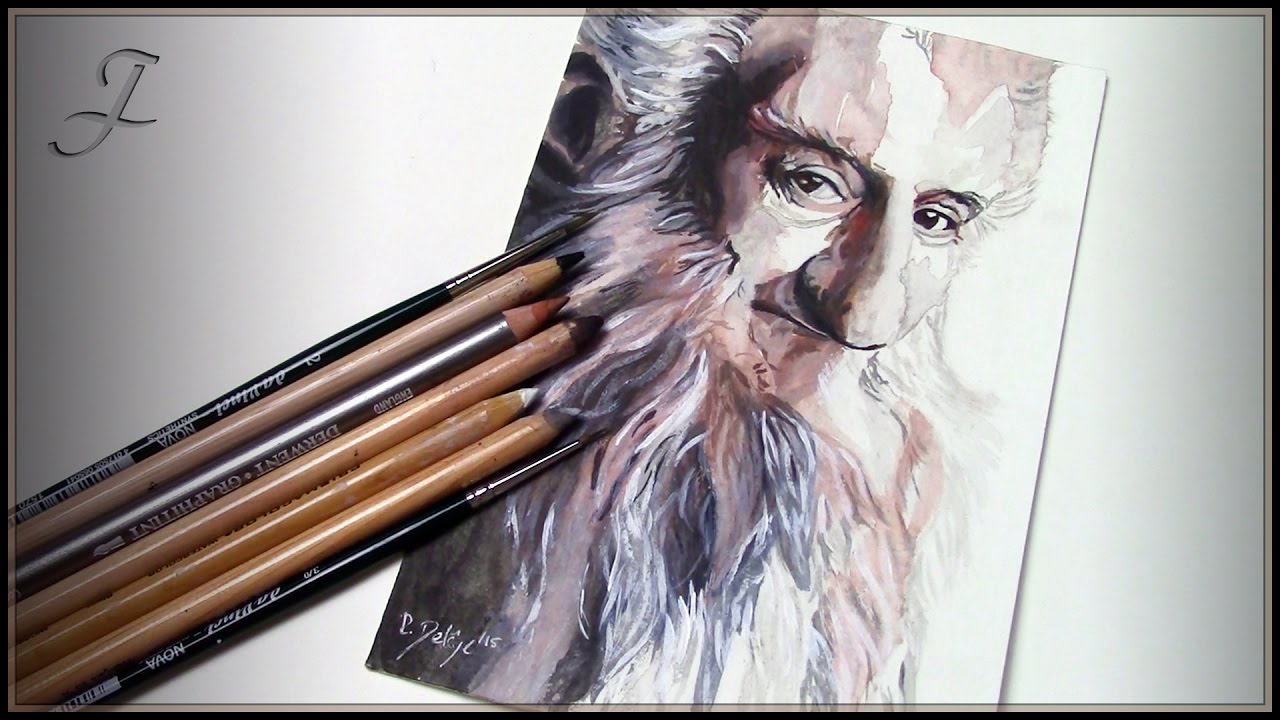 Balin (Ken Stott) - The Hobbit | Speed Art Watercolor Painting - YouTube