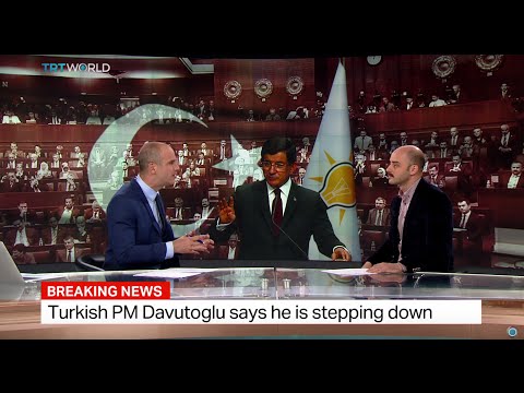 Interview with human rights researcher Selman Ogut on Davutoglu's resignation