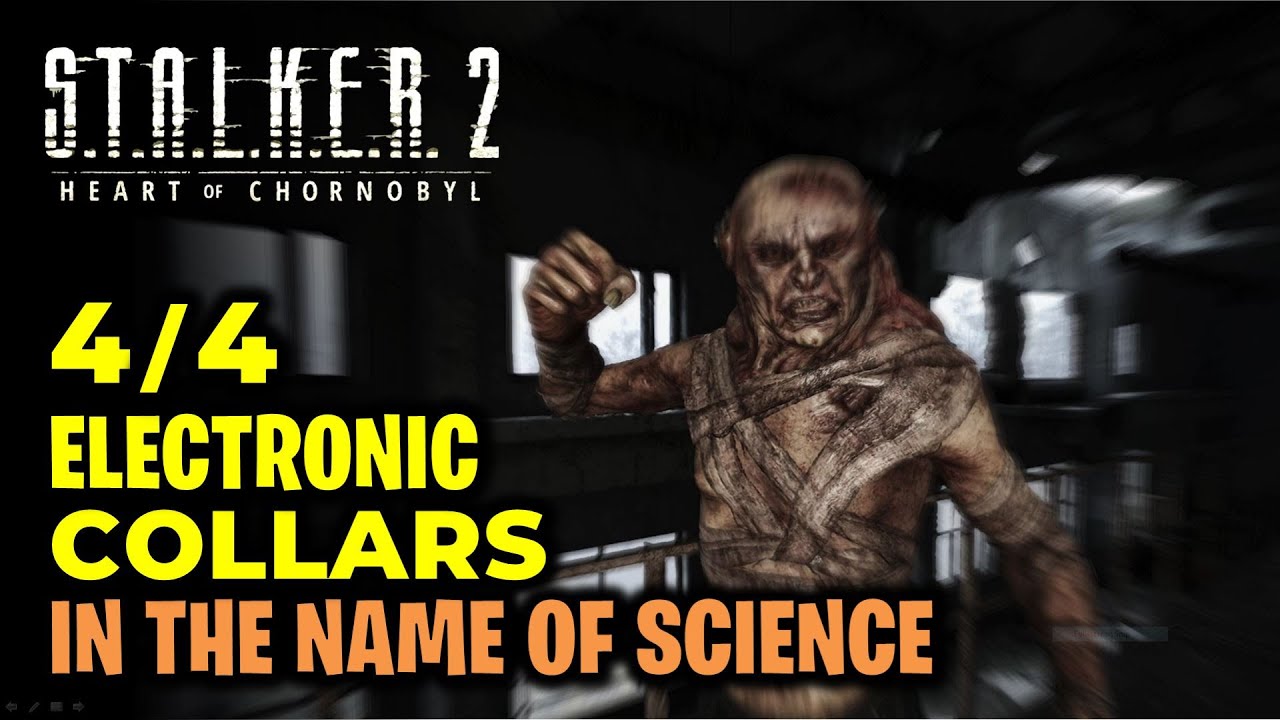 Collect Electronic Collars - In The Name of Science | STALKER 2 - YouTube
