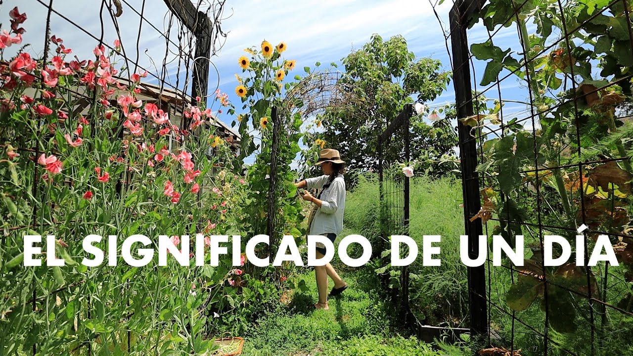 El significado de un día | Todo ha pasado muy rápido - YouTube