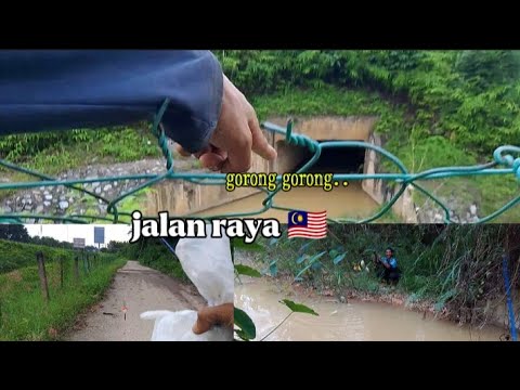 mancing di bawah gorong² Di jalan raya Malaysia - YouTube