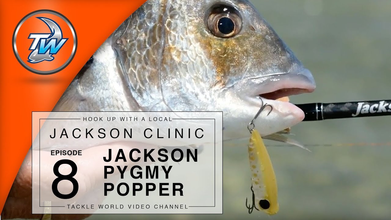 KILLER Topwater Bait! Jackson Lures Pygmy Popper - YouTube
