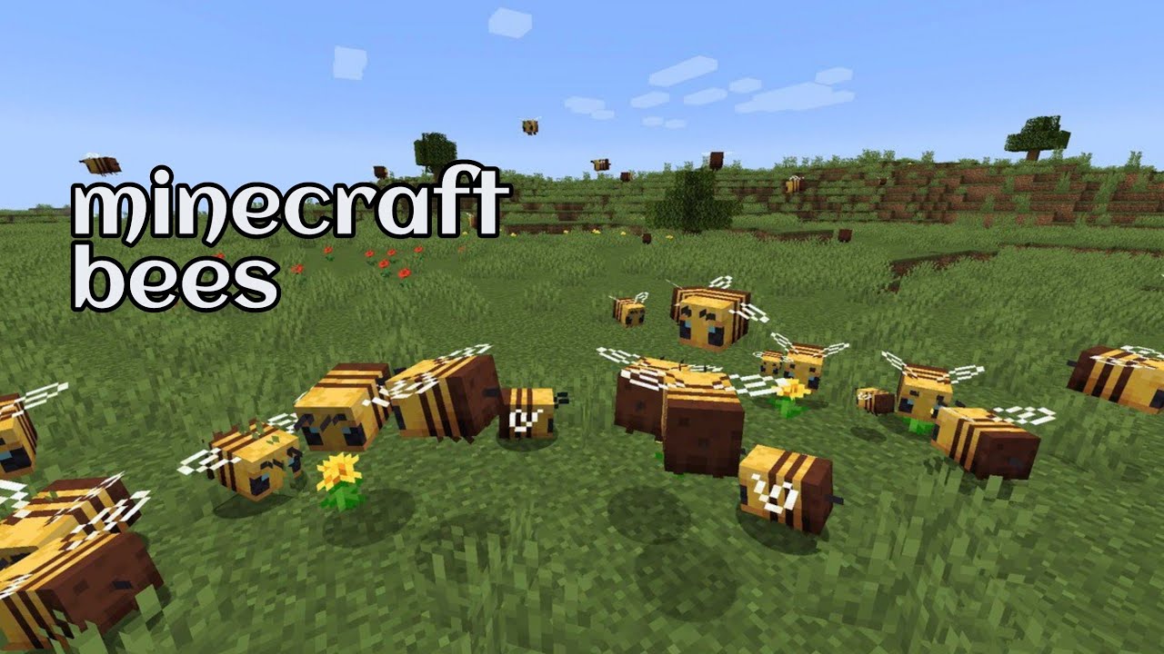 MINECRAFT BEES AT THE GARDEN - YouTube
