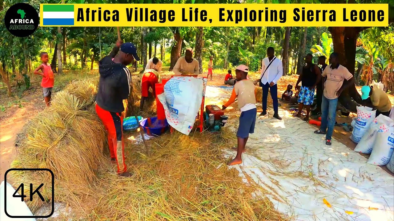 Africa Village Life, Walking Tour, Exploring Sierra Leone 🇸🇱 Village ...