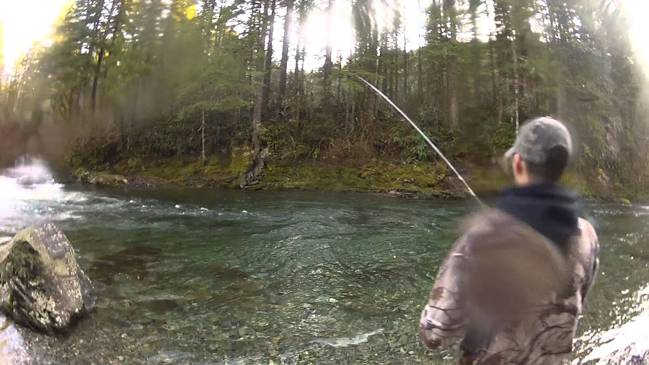 steelhead fishing the notell river in washington state - YouTube