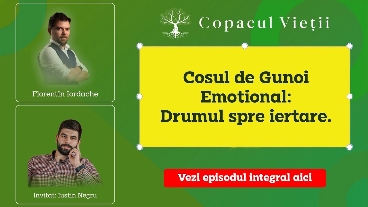Cosul de gunoi emotional: Drumul spre iertare | Iustin Negru la Copacul ...