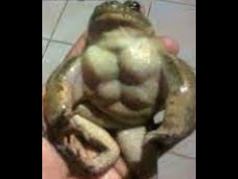 MT team Daily PvP in ABG  | clan ROOKIES | L2Eigis Infernal S3