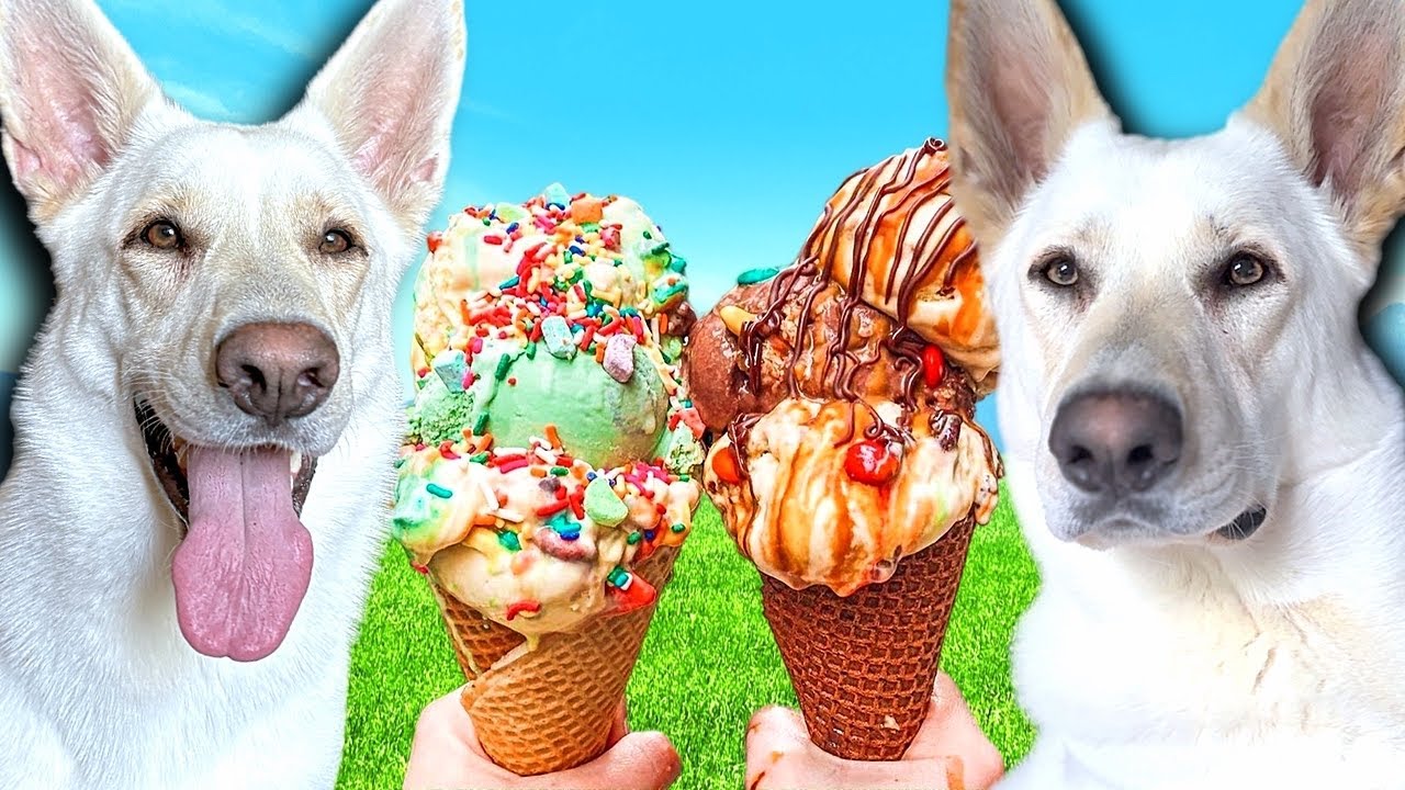 My Dogs Tried Ice Cream! - YouTube