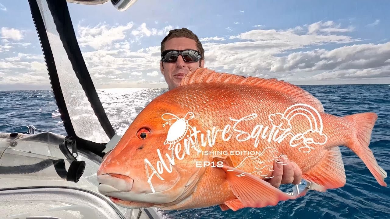 HINCHINBROOK, GREAT BARRIER REEF, LUCINDA, RED EMPEROR, NANNYGAI, CORAL ...