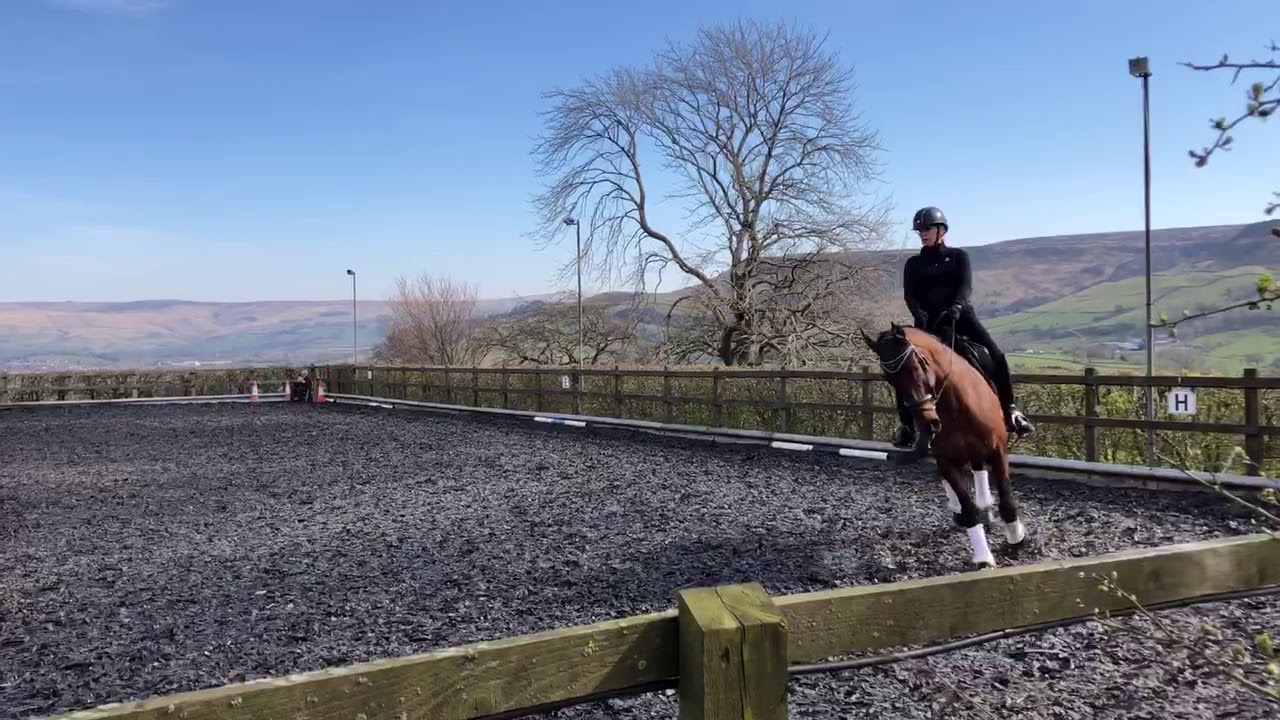 Tracey Hunt and Darcy dancer - YouTube